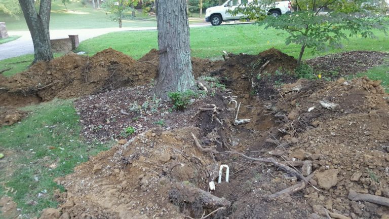 Construction damage: How to Preserve Your Landscape - Full Circle Tree ...